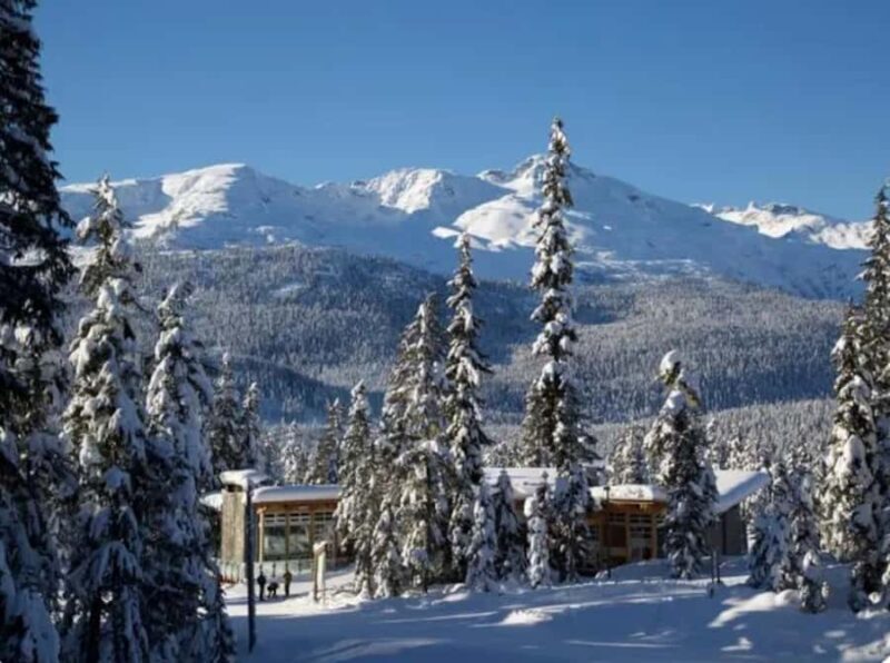 Vancouver: Whistler Day with Snowshoeing/Nordic Skiing - Free Time in Whistler: Shopping, Sightseeing, and Dining