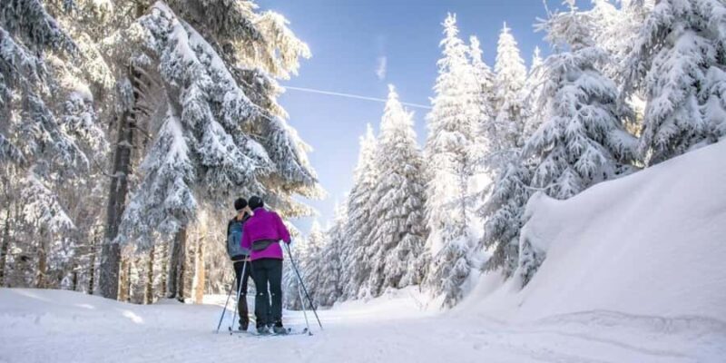 Vancouver: Whistler Day with Snowshoeing/Nordic Skiing - The End of a Long but Rewarding Day