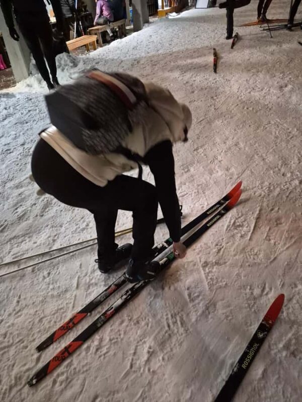 Vancouver: Whistler Day with Snowshoeing/Nordic Skiing - Who Should Consider This Tour?