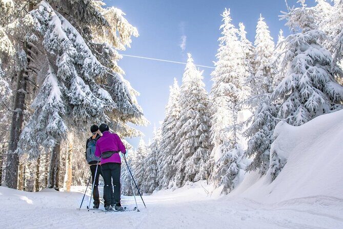 Vancouver: Whistler Olympic Dream - A day in the Snow Tour - Authenticity and Value