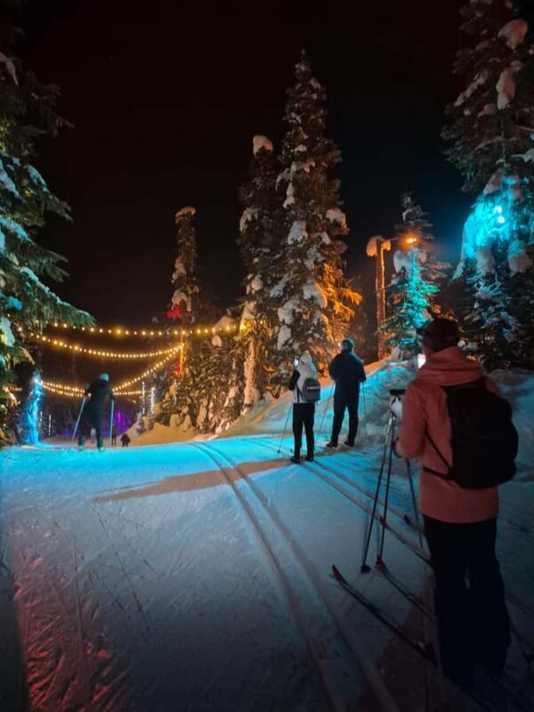 Vancouver: Whistler Olympic Park Evening Snowshoeing/Skiing - The Activities: Snowshoeing, Skiing, or Sightseeing