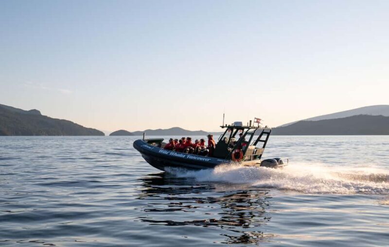 Vancouver: Zodiac Whale Watching Tour from Granville Island - Key Points