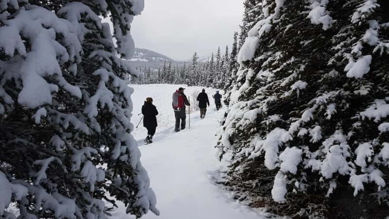Vancouver:Guided Snowshoe Adventure in North Shore Mountains - Key Points