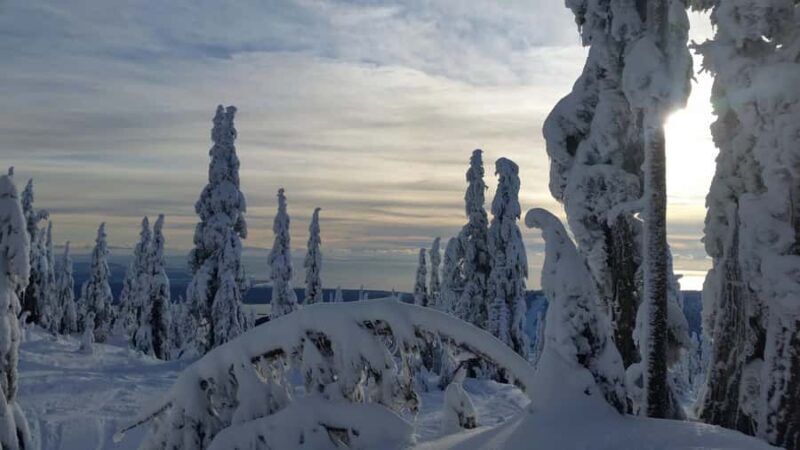 Vancouver:Guided Snowshoe Adventure in North Shore Mountains - An Engaging Look at the Guided Snowshoe Experience