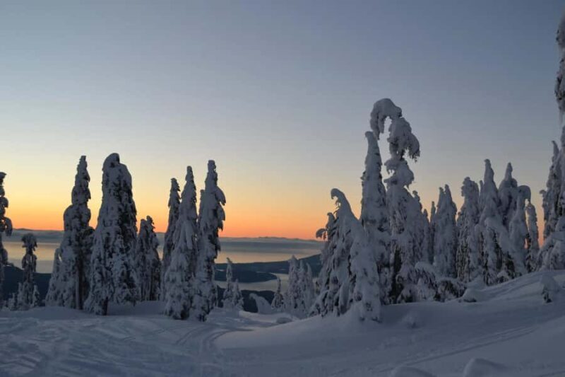 Vancouver:Guided Snowshoe Adventure in North Shore Mountains - Authentic and Uncrowded Experience