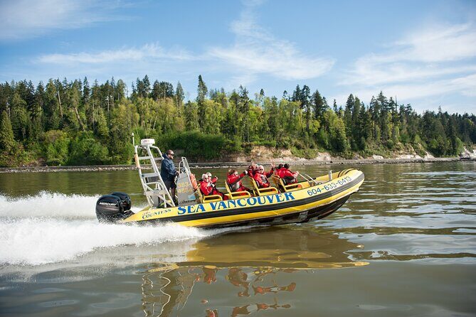 Vancouver's City and Nature | Waterfront Sightseeing Zodiac Tour - How to Maximize Your Experience