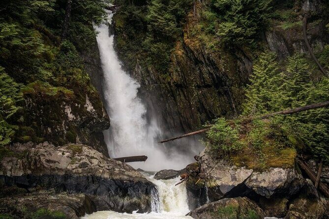 Vancouver's City and Waterfall | Waterfront Sightseeing Tour - The Price and Value
