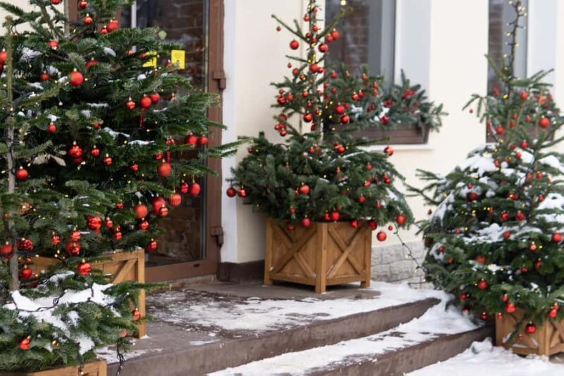 Vancouvers Festive Shore : Christmas Private Walking Tour - Authentic Experiences and Traveler Feedback