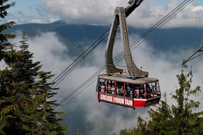 Vancouver's Finest Private Sightseeing Tour - The Essence of the Tour: What You Can Expect