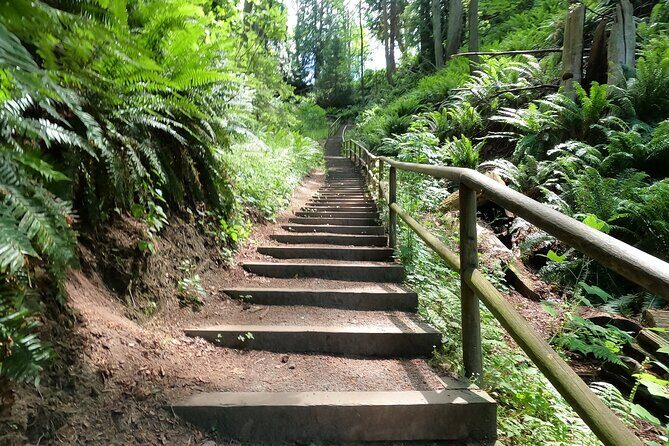Vancouver's Natural Stair Master Workout, With Beach Walk - Key Points