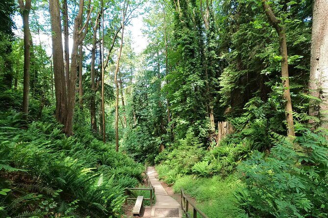 Vancouver's Natural Stair Master Workout, With Beach Walk - An In-Depth Look at the Experience