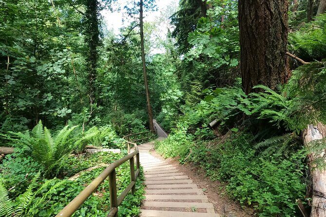 Vancouver's Natural Stair Master Workout, With Beach Walk - FAQ: Practical Questions Answered