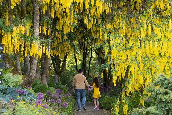 VanDusen Botanical Garden Admission Ticket - Practical Details: Timing, Costs, and Accessibility