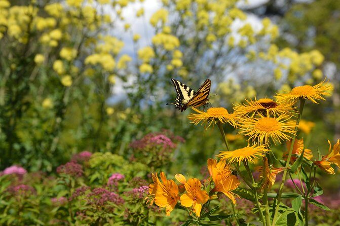 VanDusen Botanical Garden Admission Ticket - Frequently Asked Questions