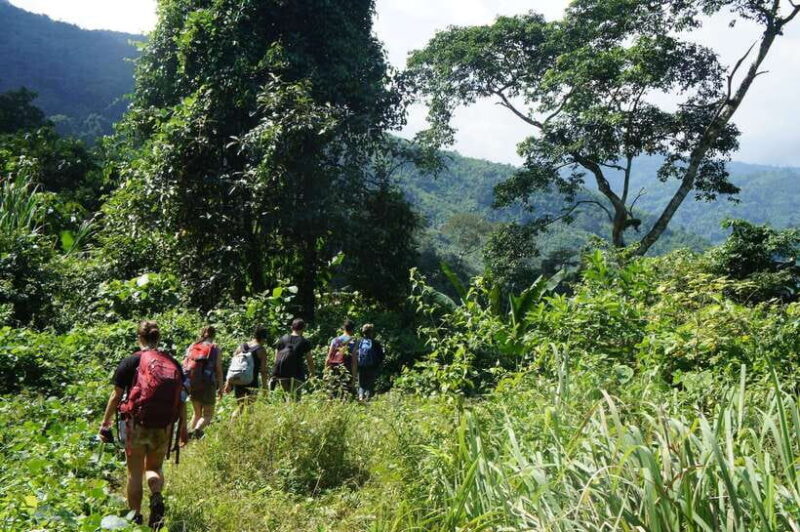 Vang Vieng: Jungle & Caves Full-Day Private Trekking Tour - The Sum Up