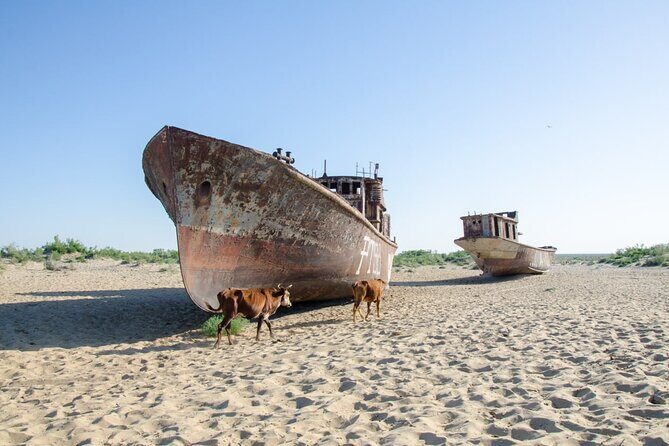 Vanishing Sea and the Forgotten Cities - An Honest Breakdown of What You Can Expect