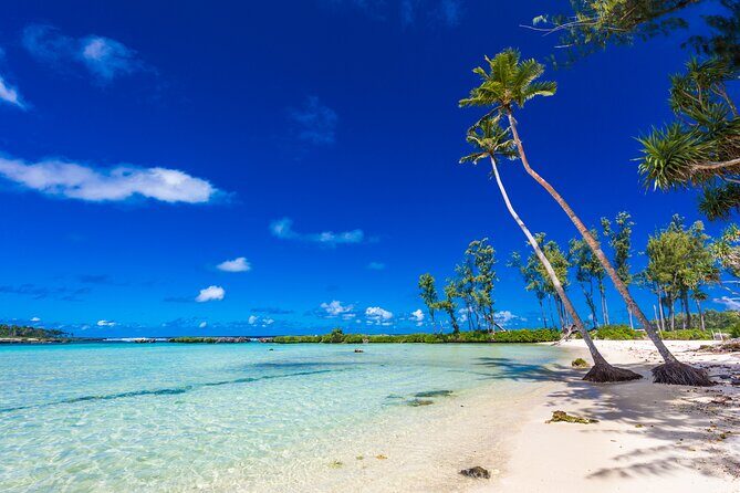 Vanuatu Highlights and Duty Free Shopping - Transport, Comfort, and Practical Details