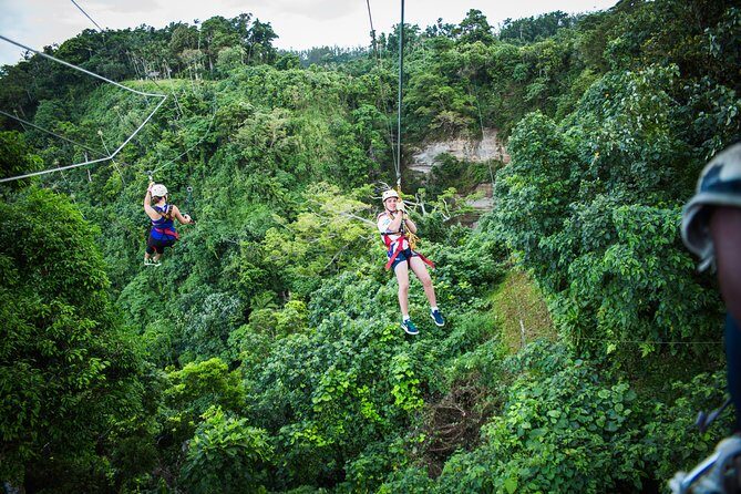 Vanuatu Jungle Zipline - Self Drive Option - Key Points