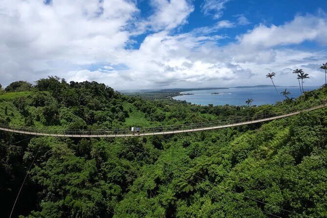 Vanuatu Skybridge - Authentic Experiences and Reviews