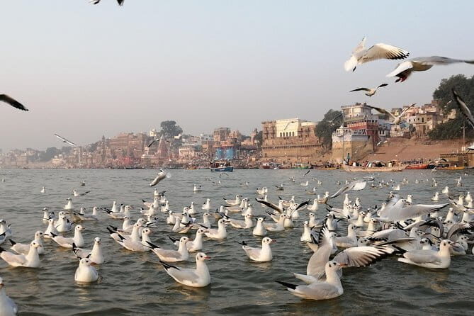 Varanasi 2 Days Tour with Expert Tour Guide - Final Thoughts