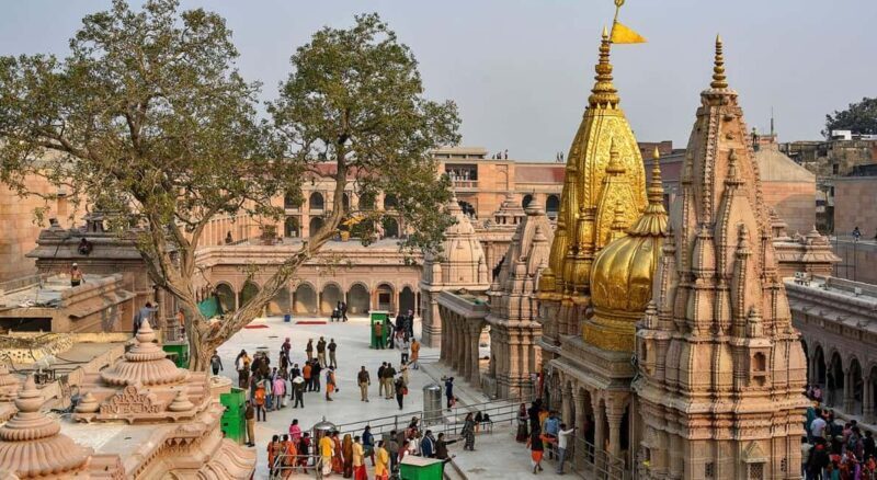 Varanasi : Full Day City Highlights Day Tour & Ganges Cruise - A Closer Look at the Tour Experience