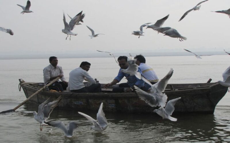 Varanasi: Sunrise Boat Ride w/ Ghats & Morning Rituals - Key Points