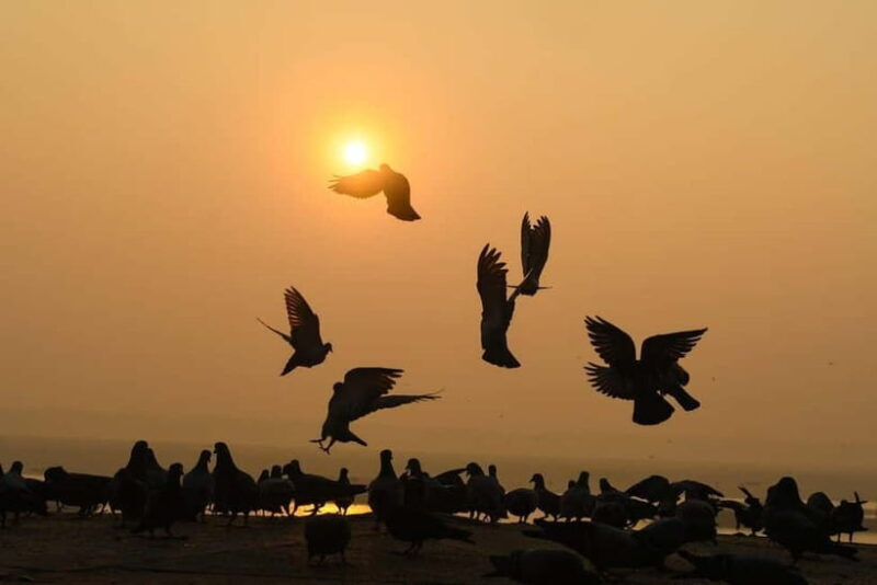 Varanasi: Sunrise Boat Tour & Ghats Experience - The Experience and Its Value