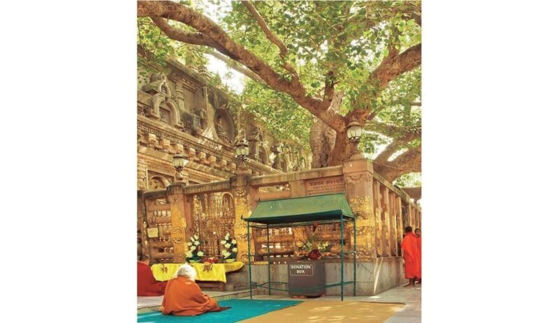 Varanasi to Bodhgaya : A day trip of Enlightment exploration - A Detailed Look at the Experience