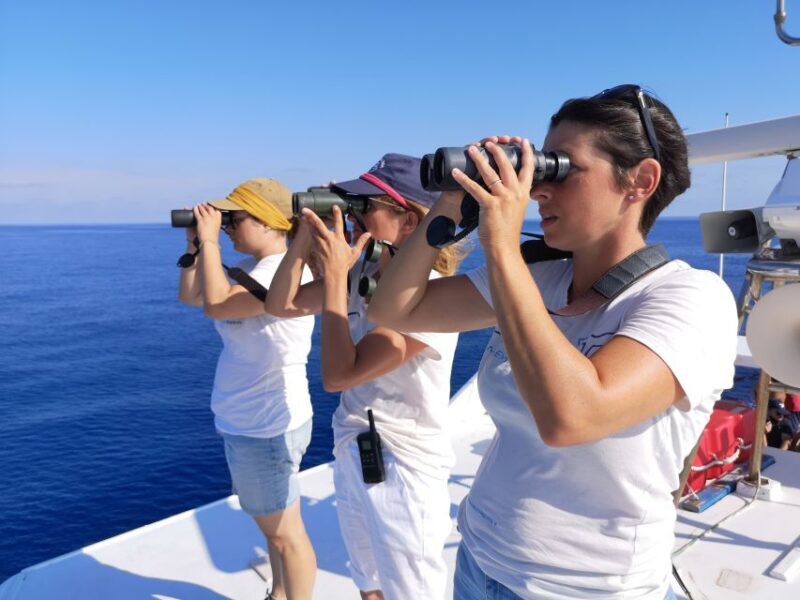 Varazze: Pelagos Sanctuary Guided Cetacean Watching Tour - Who Will Enjoy This Tour Most?