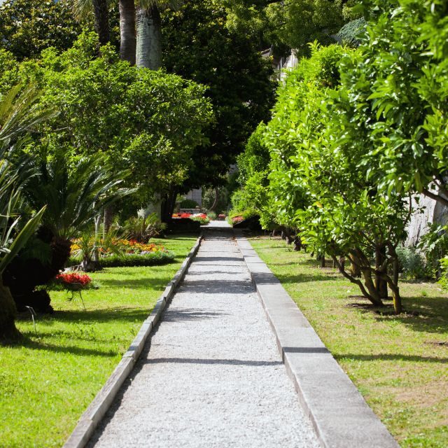 Varenna: Wine Tasting and Entry Ticket to Villa Monastero - An Introduction to the Experience