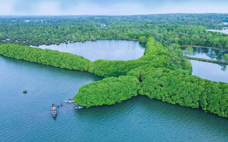 Varkala Mangrove Backwater Kayaking Trip from Trivandrum - The Importance of Timing and Tides