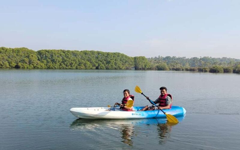 Varkala Mangrove Backwater Kayaking Trip from Trivandrum - Post-Paddle Relaxation and Free Time