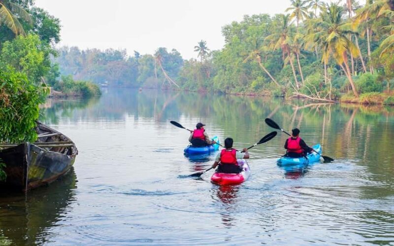 Varkala Mangrove Backwater Kayaking Trip from Trivandrum - Returning to Trivandrum