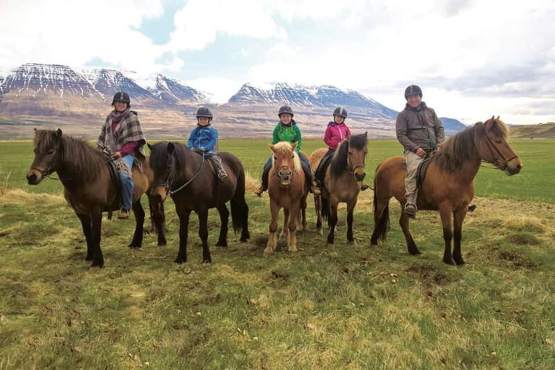 Varmahlid: 1-Hour Icelandic Horse Riding Tour - The Experience: A Practical Breakdown