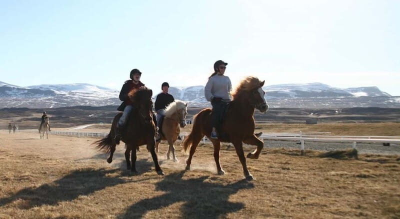 Varmahlid: 1-Hour Icelandic Horse Riding Tour - Practical Details & Considerations