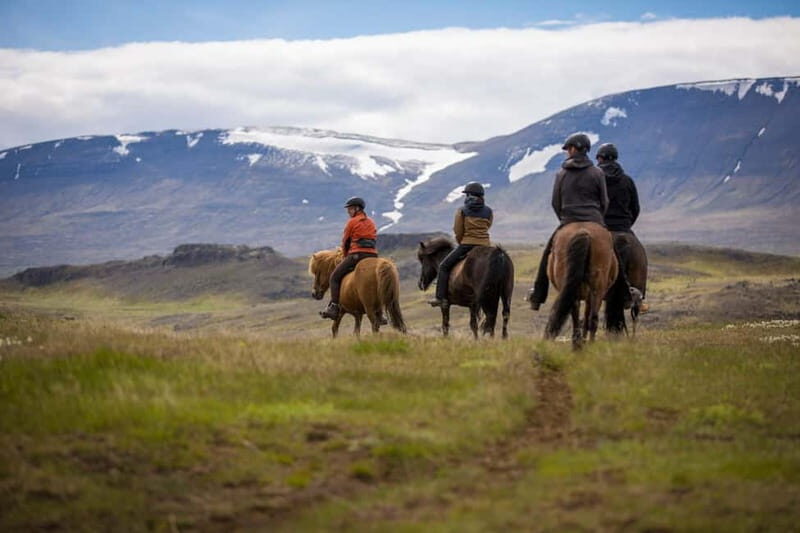 Varmahlid: Viking Horse Riding Tour - A Deep Dive into the Viking Horse Riding Tour Experience