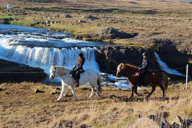 Varmahlid: Viking Horse Riding Tour - Frequently Asked Questions (FAQ)