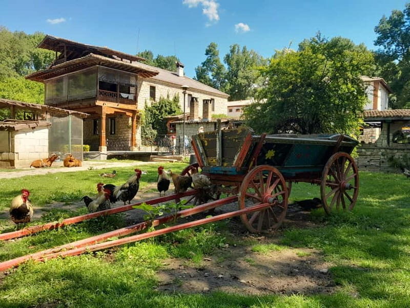 Varna: Guided VIP Tour - Examining the Price and Value
