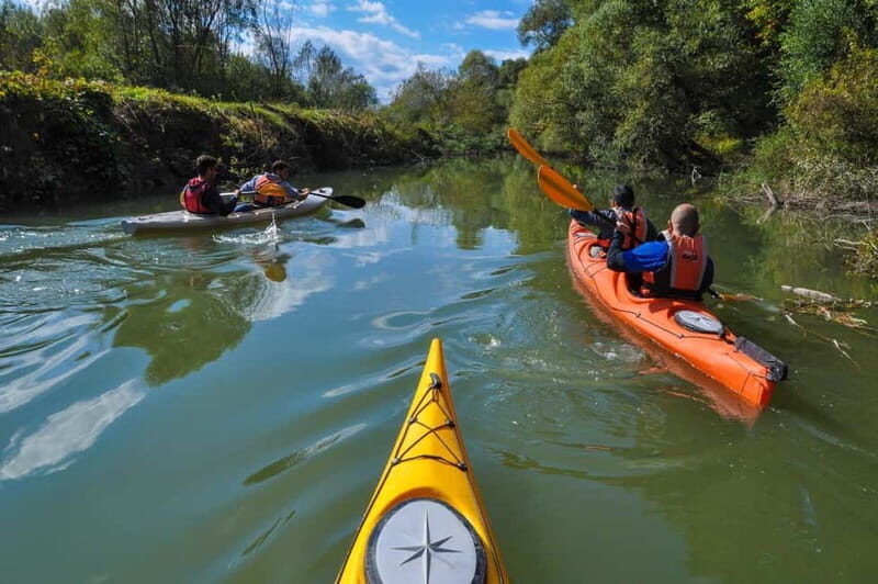 Varna: Kamchia River Kayaking Day Tour - A Detailed Look at the Kamchia River Kayaking Tour