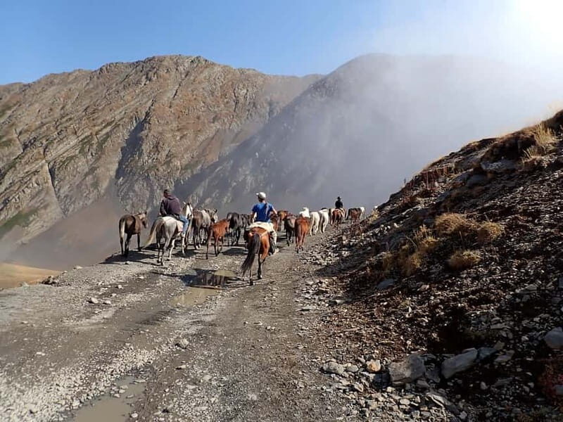 Vashlovani Nature Reserve: Horse Riding Tour - A Closer Look at the Vashlovani Horse Riding Experience