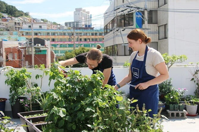 Vegan Friendly Korean Food Cooking Class - Key Points
