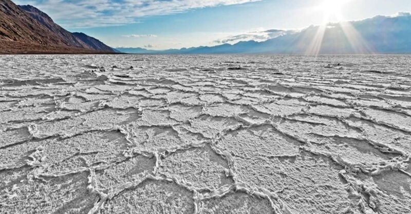 Vegas: Death Valley, Yosemite & San Francisco 4-Day Tour - Day 4: The Vibrant City of San Francisco