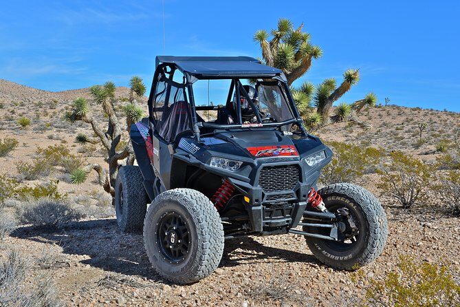 Vegas Desert RZR Adventure with Lunch at the Pioneer Saloon - Practical Details: What to Expect