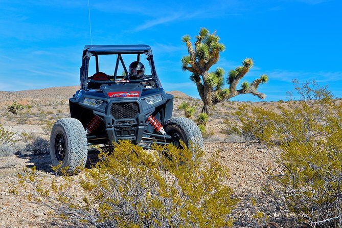 Vegas Desert RZR Adventure with Lunch at the Pioneer Saloon - Authentic Experience and Top-Quality Guides