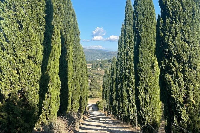Vegetarian cooking class in the Florentine Hills 6 guests max - The Itinerary in Detail: What You Can Expect