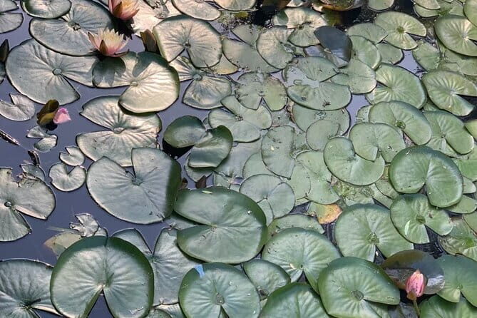 Vegetarian Seoul City Tour / Small Group / 8 Max - A Fully-Fledged Day in Seoul: Balancing Tradition, Nature, and Modernity