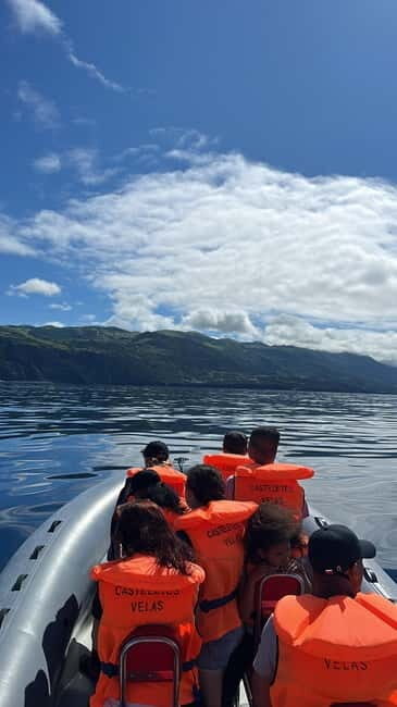 Velas: In the heart of Azores with whales and dolphins - Final Thoughts