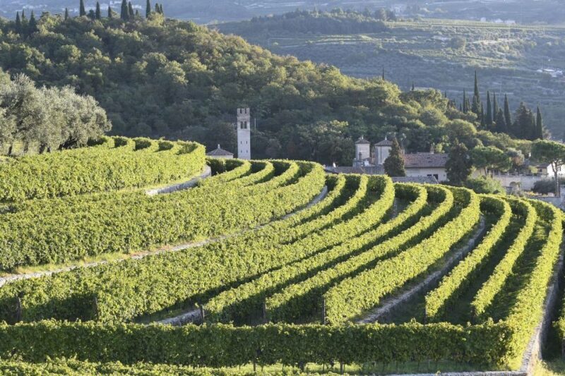 Veneto: Amarone Cooking and Tasting Experience in a Villa - The Itinerary: A Closer Look