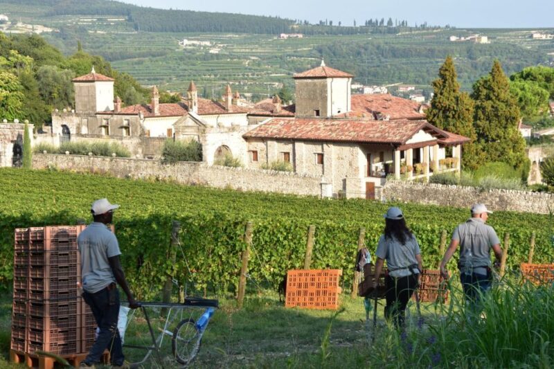 Veneto: Amarone Cooking and Tasting Experience in a Villa - Why This Tour Works Well