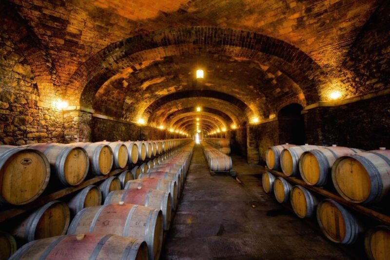Veneto: Amarone Cooking and Tasting Experience in a Villa - Is This Tour Right for You?